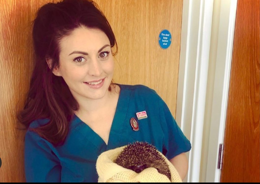 About Us - Henlow Vets